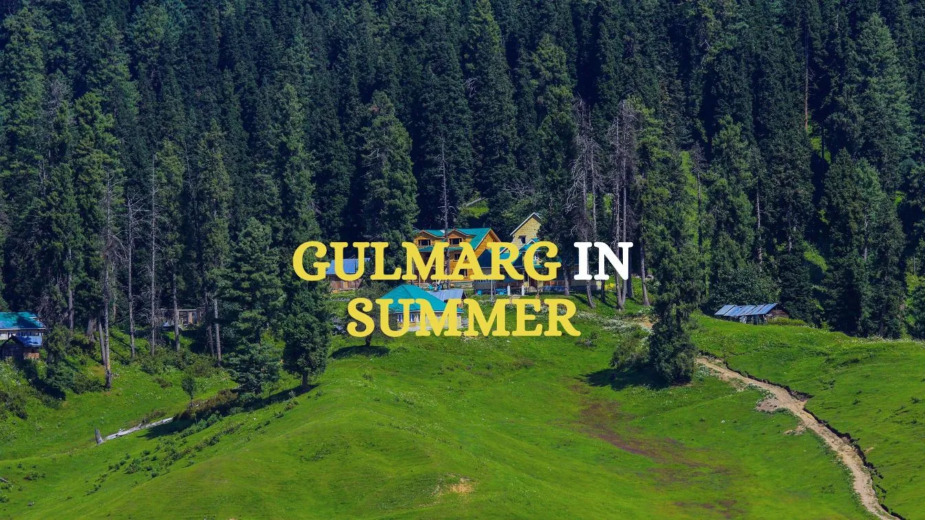 Gulmarg in Summer: Weather, Places to visit and more travel tips