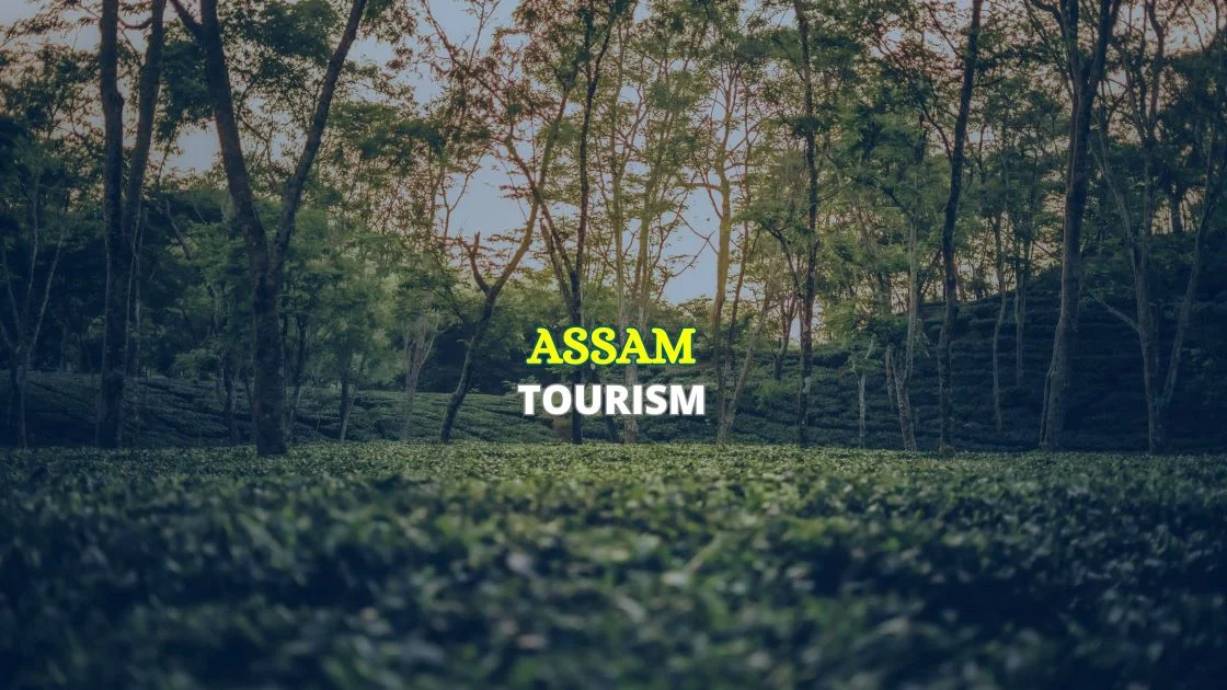 Assam tourism: A Complete travel Guide