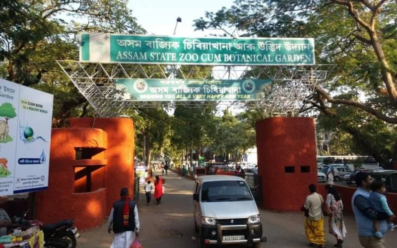 Top 14 Things to Do in Guwahati