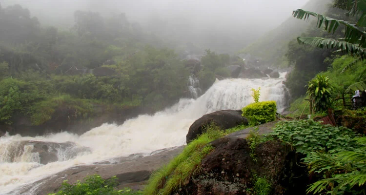 Best time to visit Munnar: Choosing the Ideal Season for Your Trip