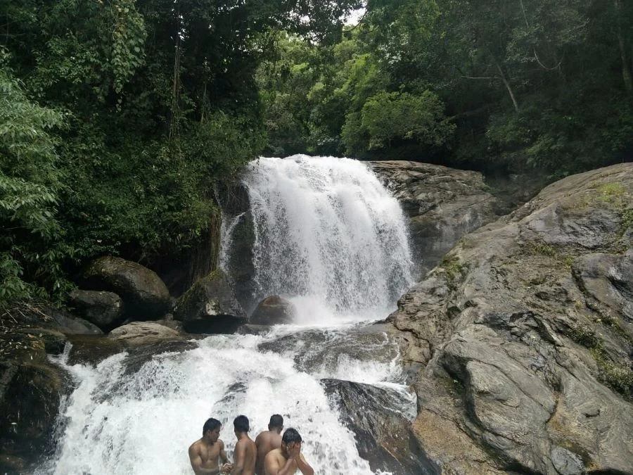 The Most Beautiful Waterfalls in Kerala: A Nature Lover’s Paradise